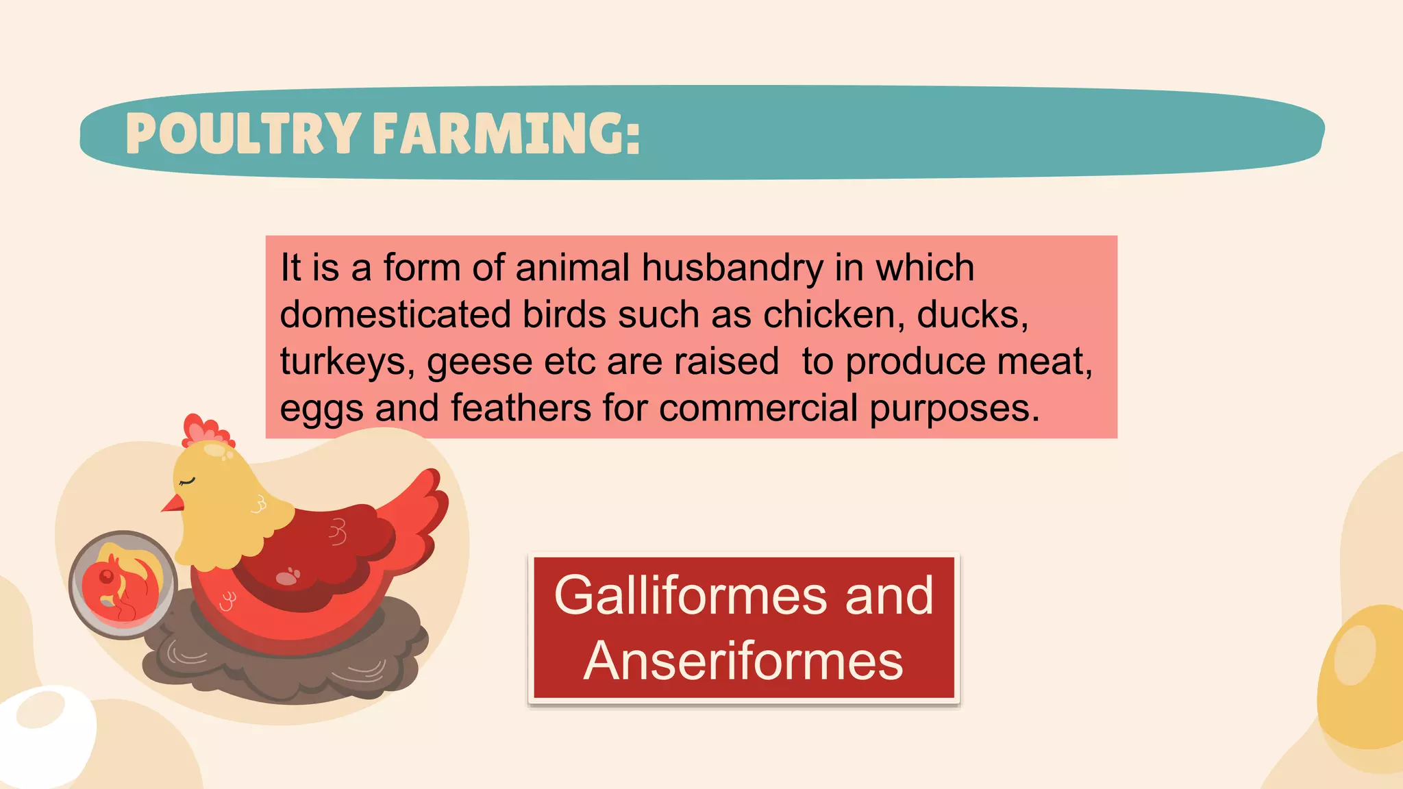 MANUFACTURE OF POULTRY PRODUCTS | PPTX