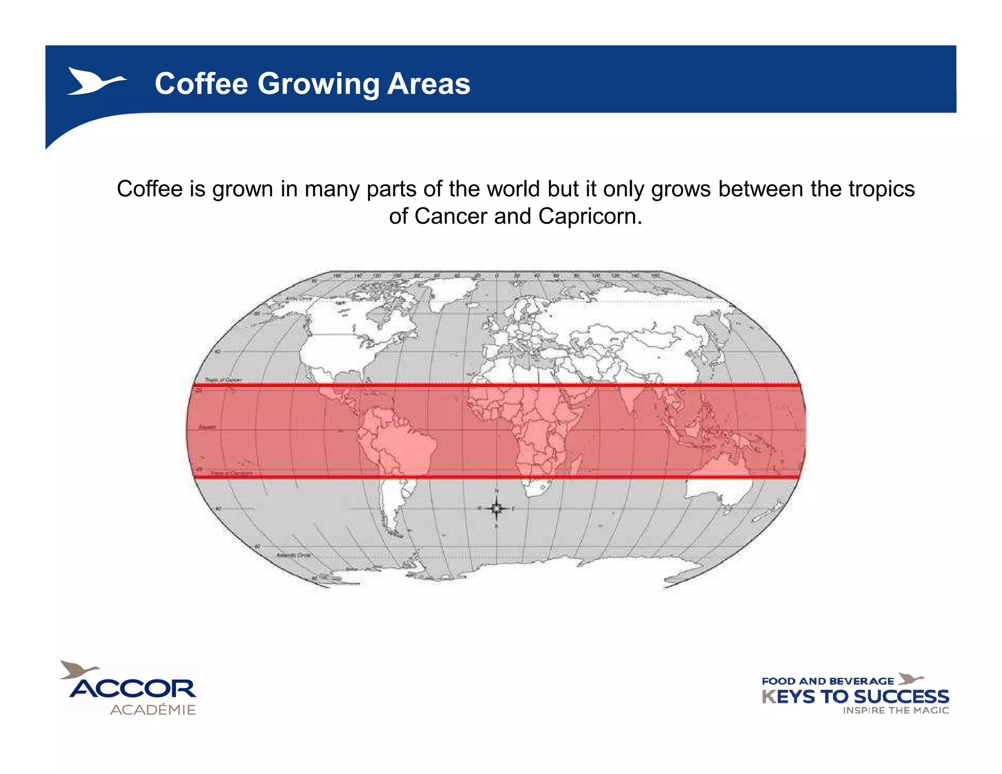 Espresso coffee training | PDF