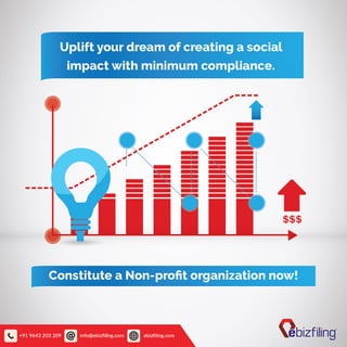 Non Profit Organization | PDF