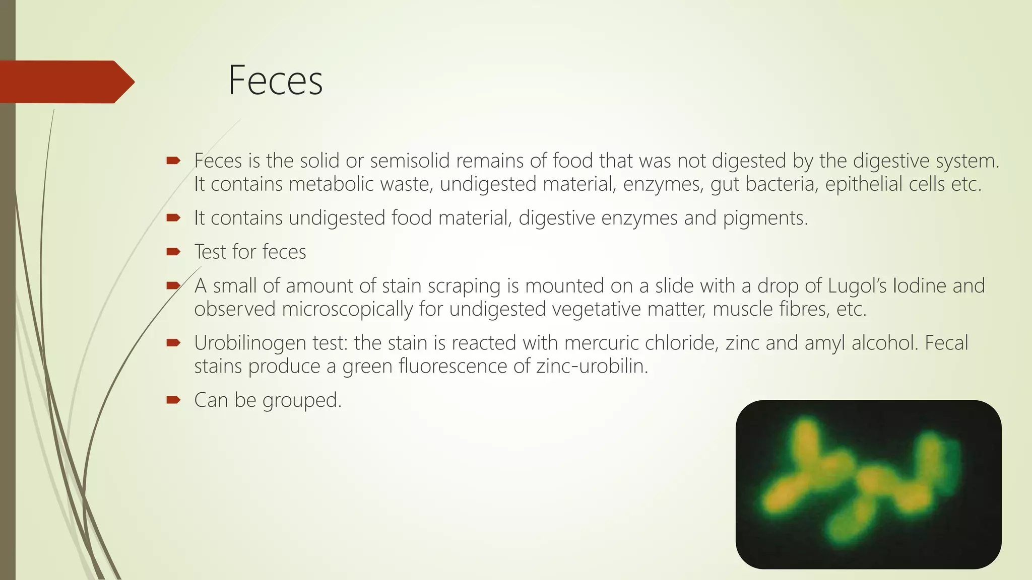 Forensic Biology - Biological evidences | PPTX