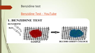 Forensic Biology - Biological evidences | PPTX