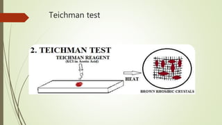 Forensic Biology - Biological evidences | PPTX