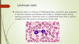 Forensic Biology - Biological evidences | PPTX