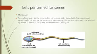 Forensic Biology - Biological evidences | PPTX