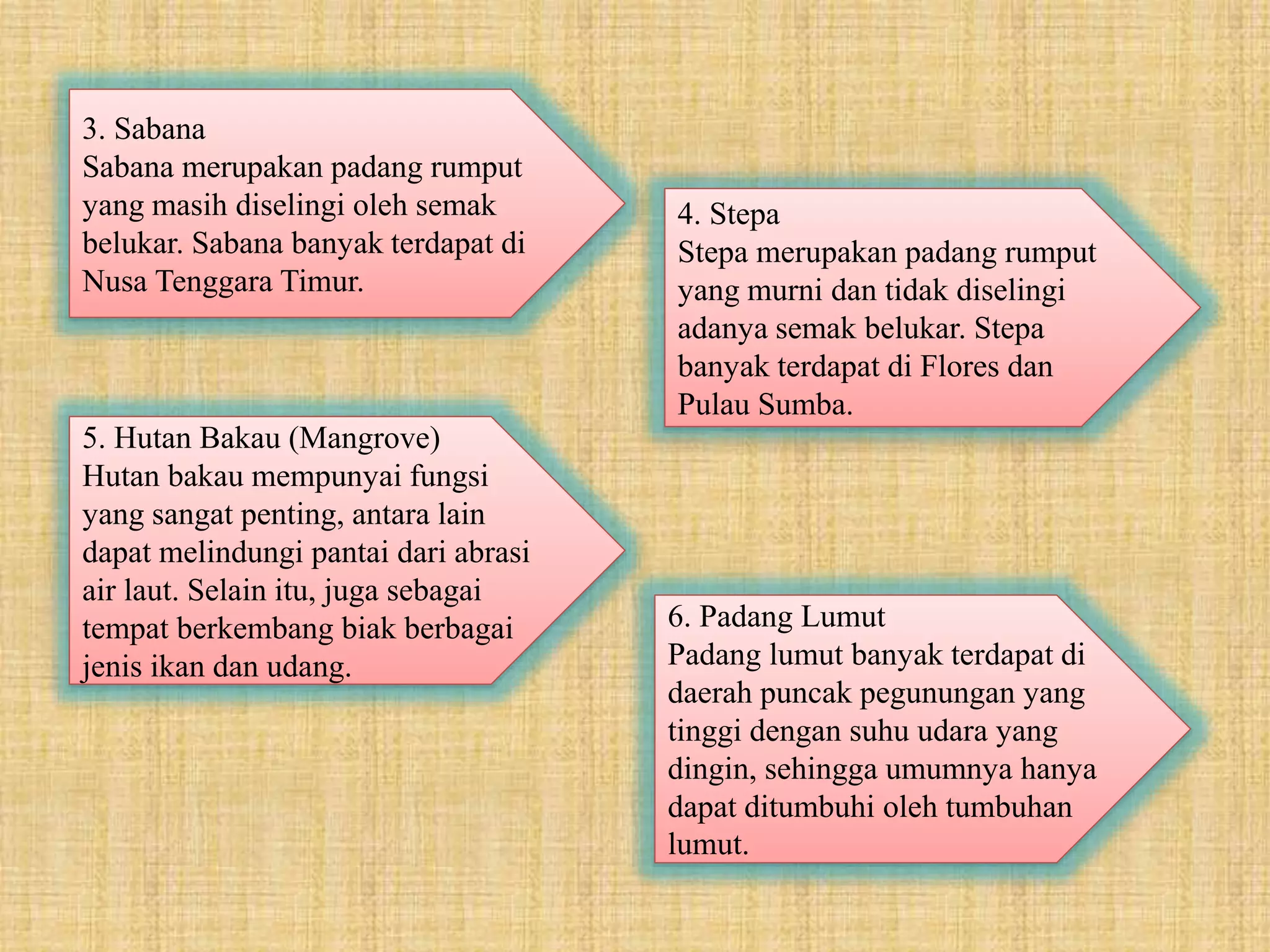 ppt flora fauna | PPTX
