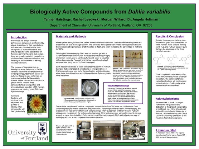 Dahlia poster pdf | PDF