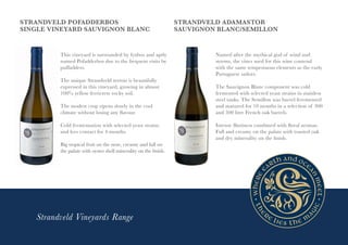 150608 Strandveld Presentation | PPT