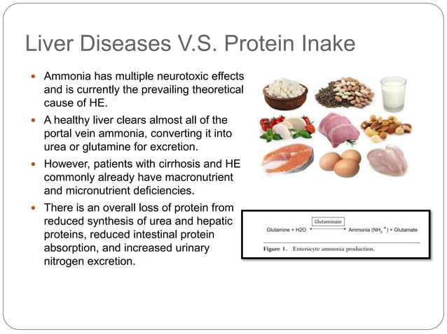 Role of low protein intake in the management | PPT