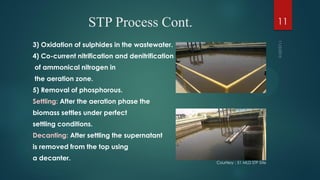51 MLD STP BY C-TECH | PDF