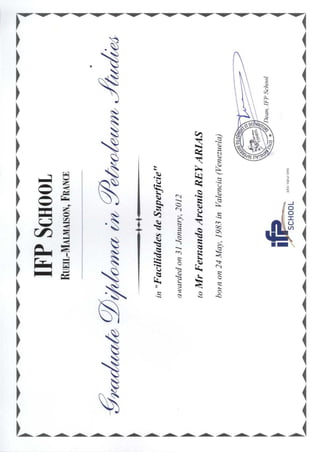 Diploma Petroleum Studies IFP School | PDF