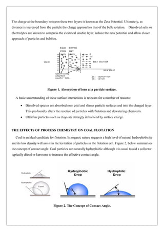 Coal Flotation Chemistry | PDF