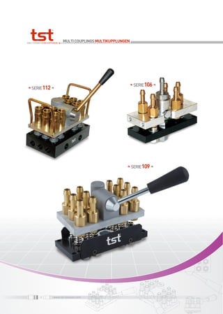 TAMSAN- BROCHURE | PDF