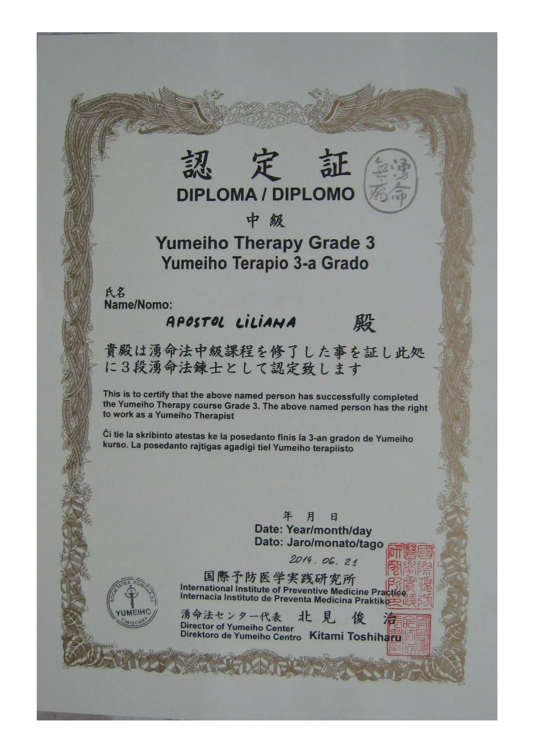Yumeiho Diploma Grade III | PDF