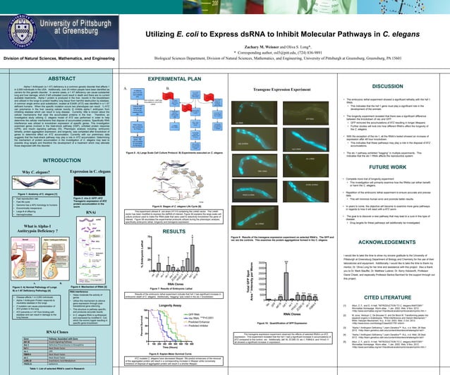 Biochemistry Poster | PPT