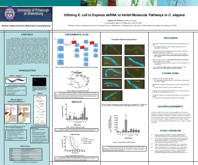 Biochemistry Poster