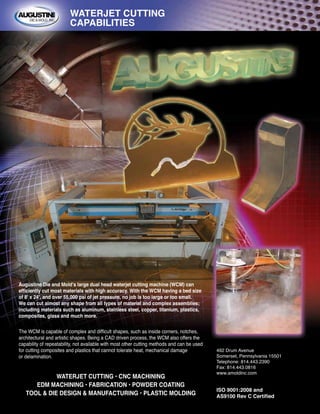 The Augustine Company Profile | PDF