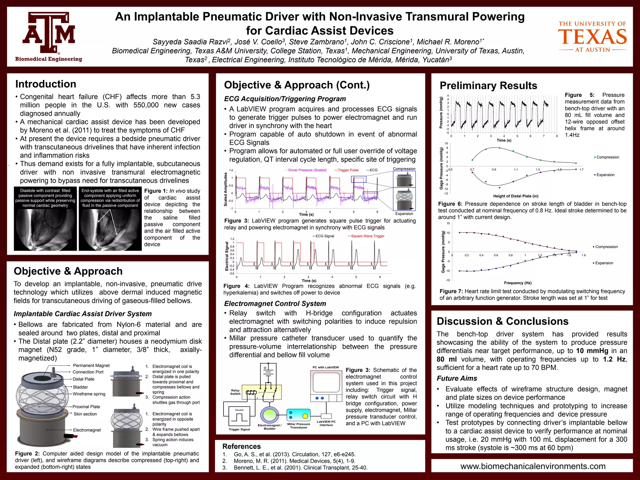 Sayyeda Saadia Razvi BMES Poster | PPT