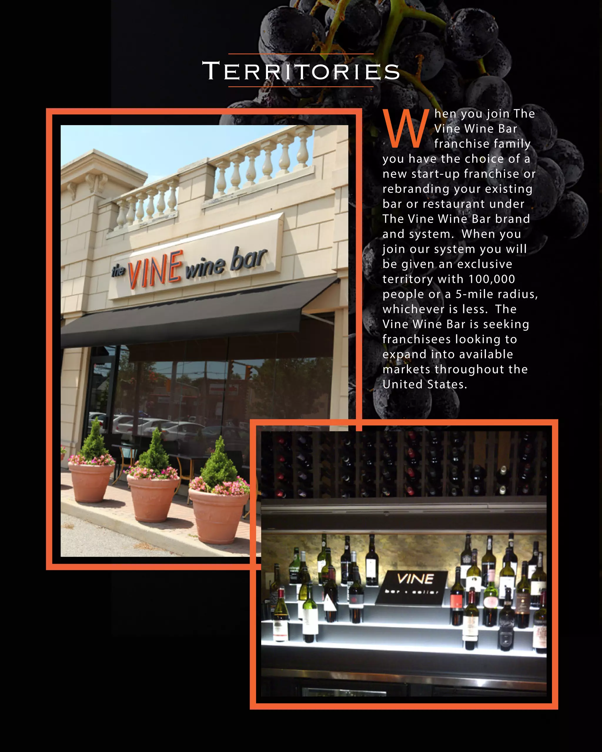 blk grape brochure final1 | PDF | Business Administration | Business