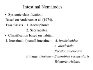Nematodes Examples
