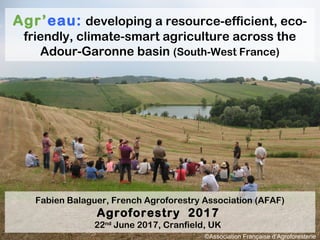 Presentation at Agroforestry 2017 - Cranfield University, UK (Fabien ...