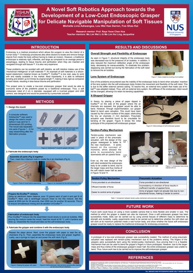 ssef posteR, final draft | PDF