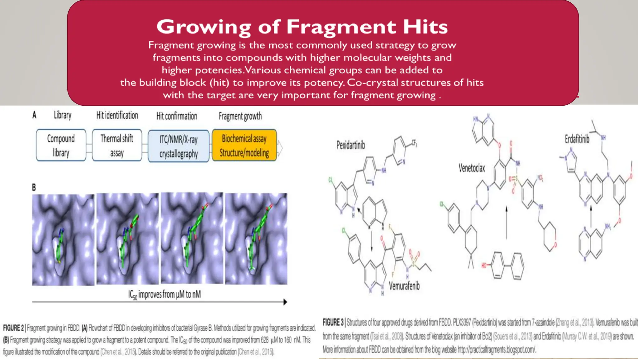 Computer aided drug design Fragment Based Drug Design/ Medicinal Chemistry, In-silico approach ...