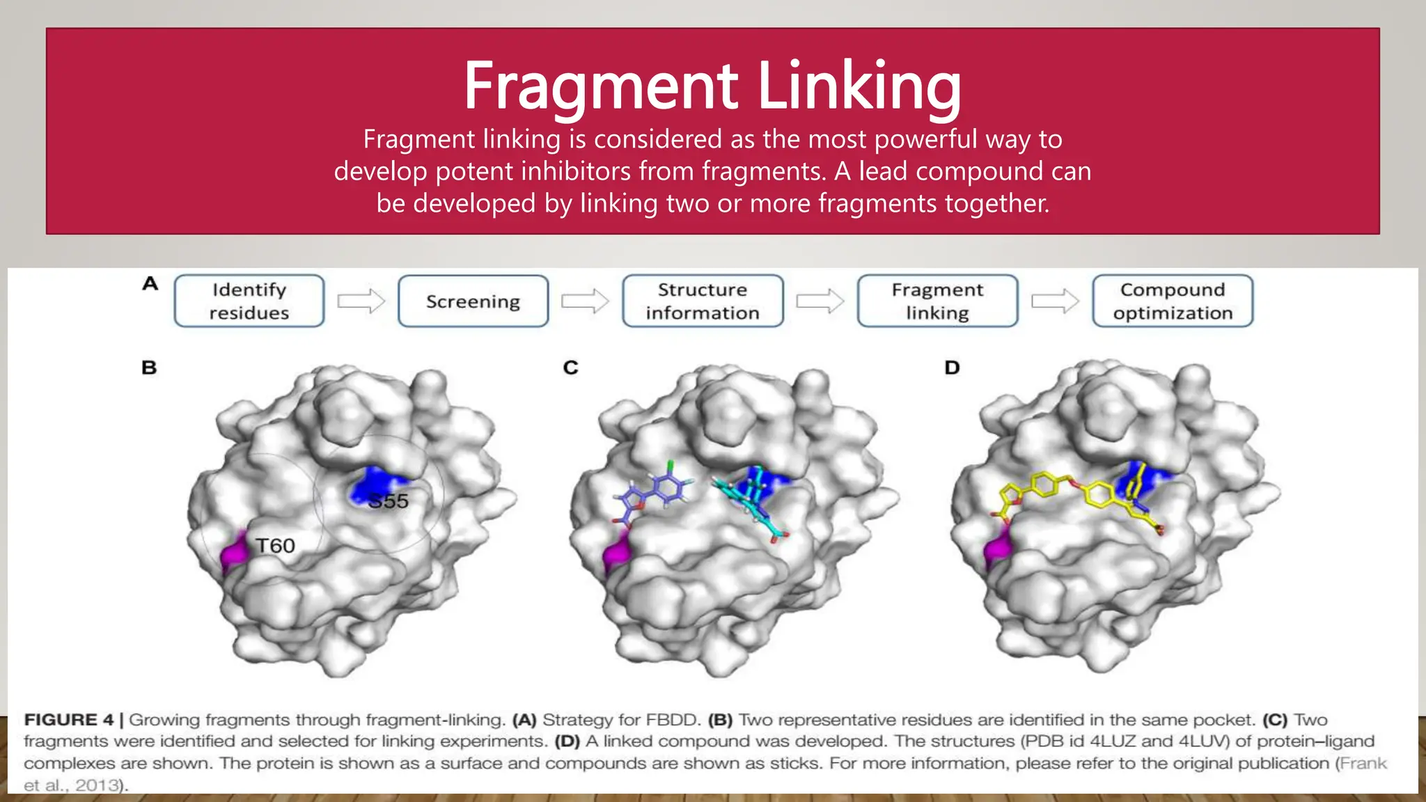 Computer aided drug design Fragment Based Drug Design/ Medicinal Chemistry, In-silico approach ...