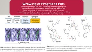 Computer aided drug design Fragment Based Drug Design/ Medicinal ...