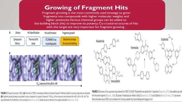 Computer aided drug design Fragment Based Drug Design/ Medicinal Chemistry, In-silico approach ...