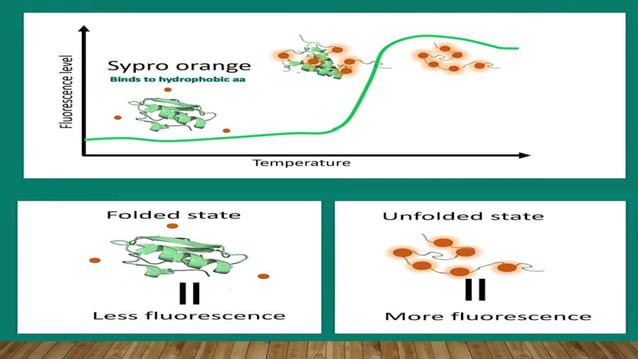 Computer aided drug design Fragment Based Drug Design/ Medicinal ...
