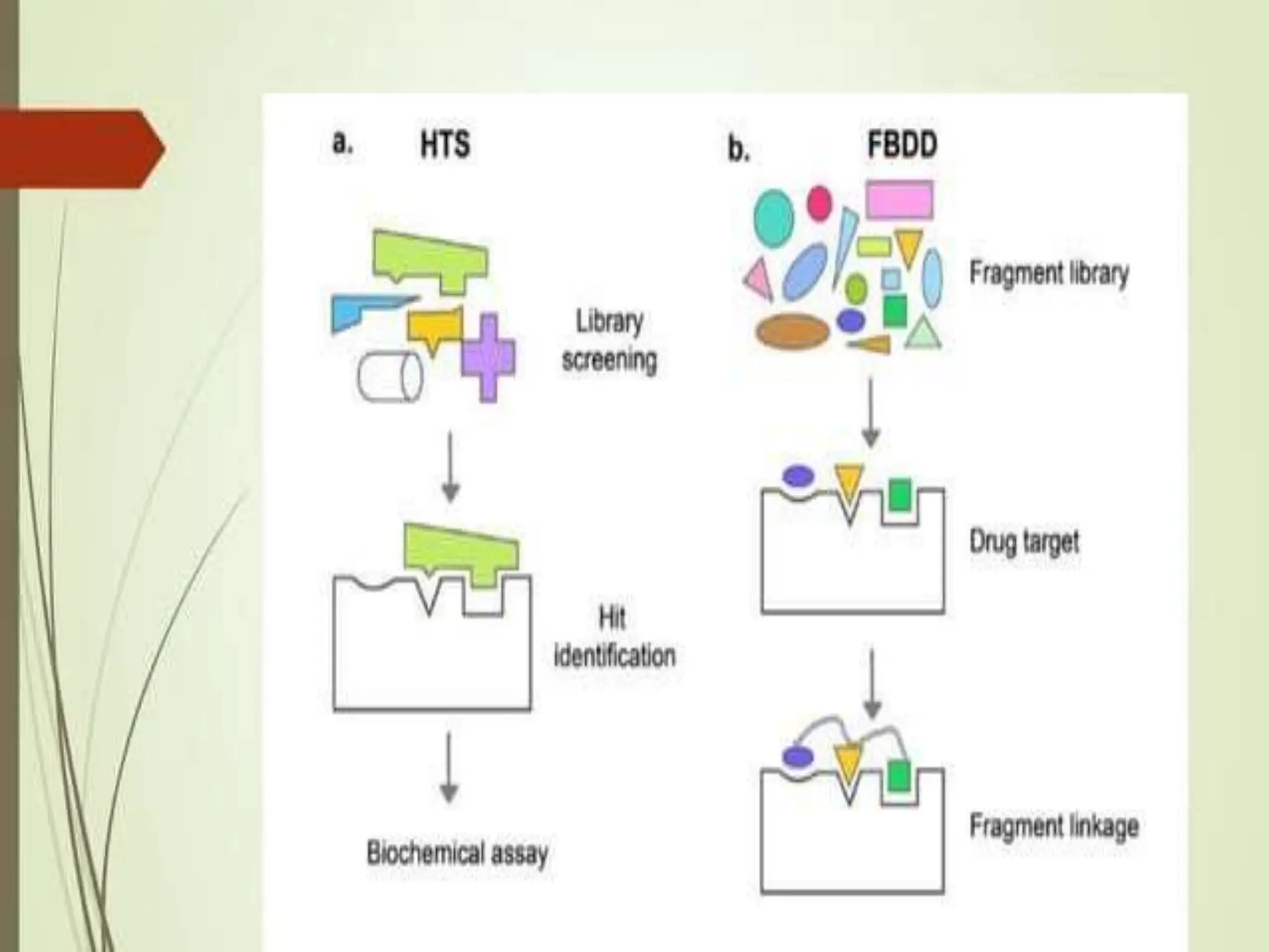 Fragment based drug design: A method for drug discovery and design | PPTX