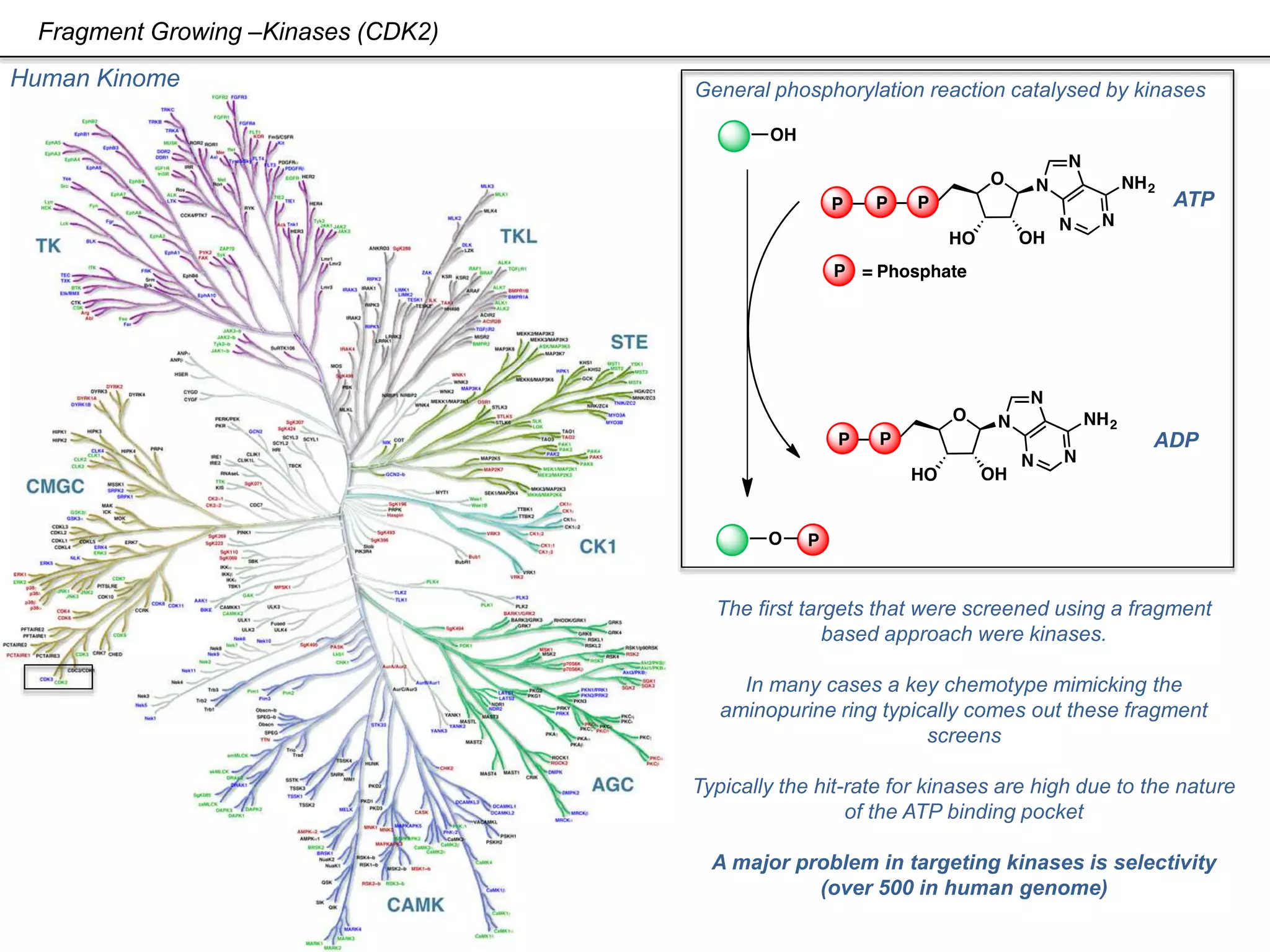 Fragment Based Drug Discovery | PPTX