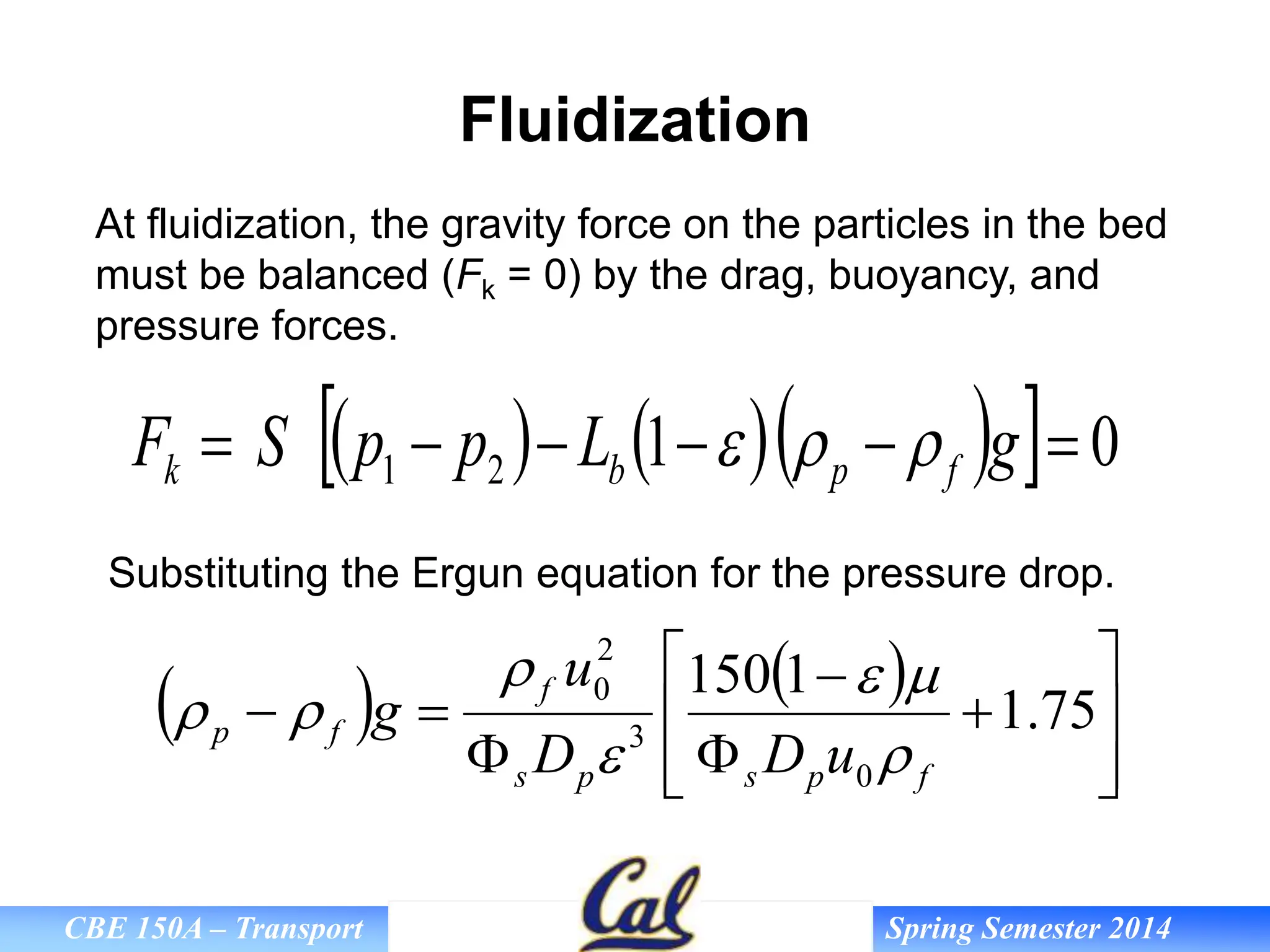 Fixed and Fluidized Bed for Good Manufacturing | PPT