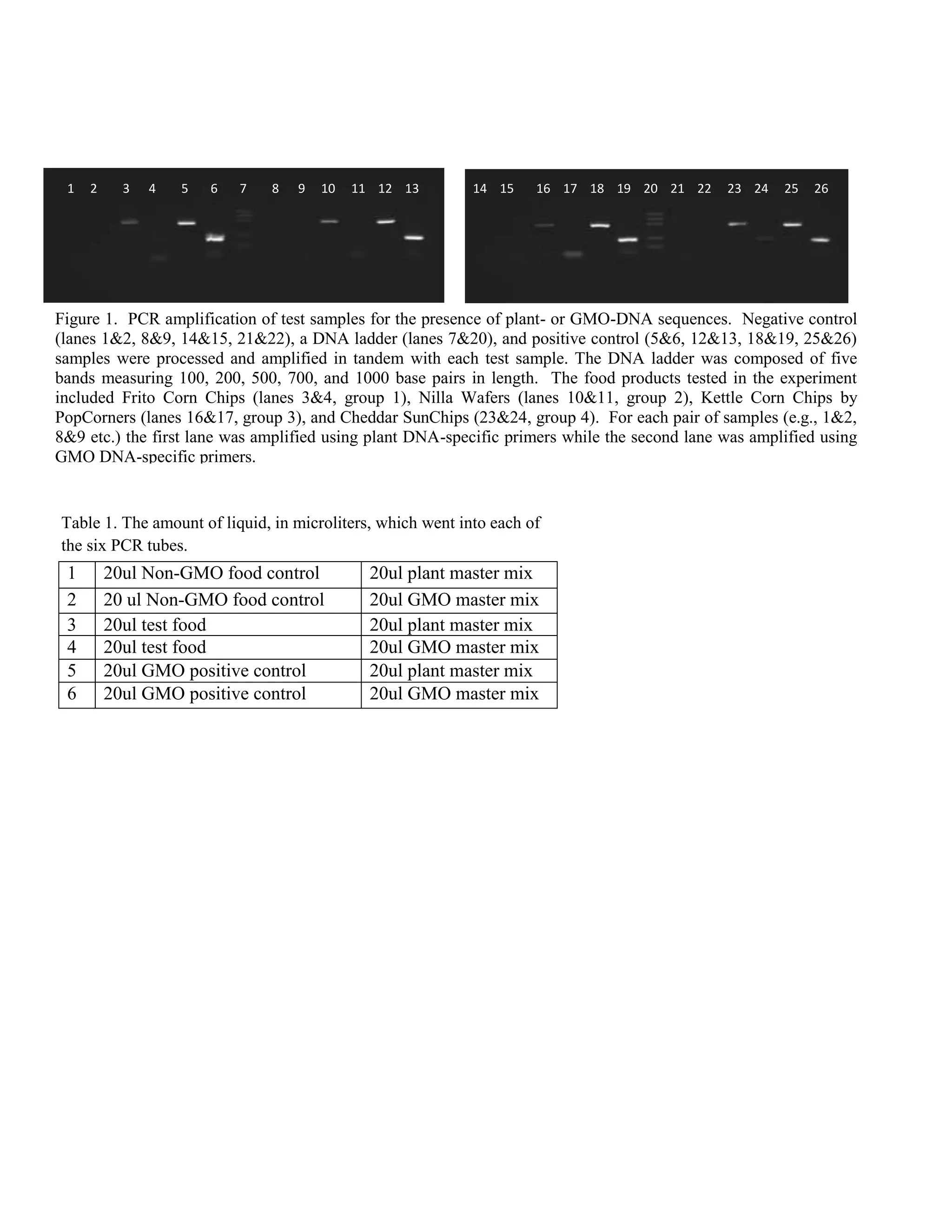 GMO Lab report | PDF