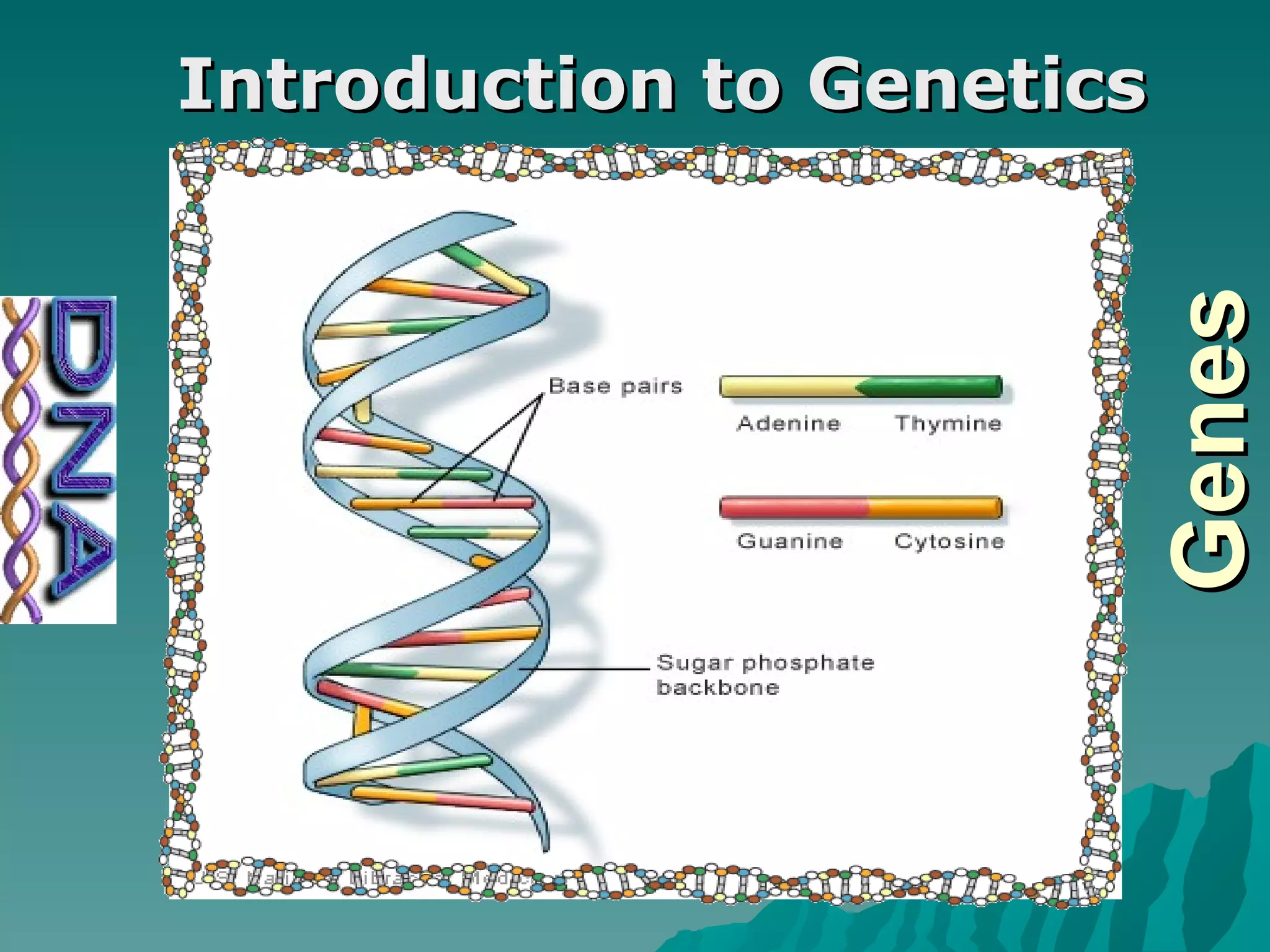 Introduction to DNA and Genetics | PPT