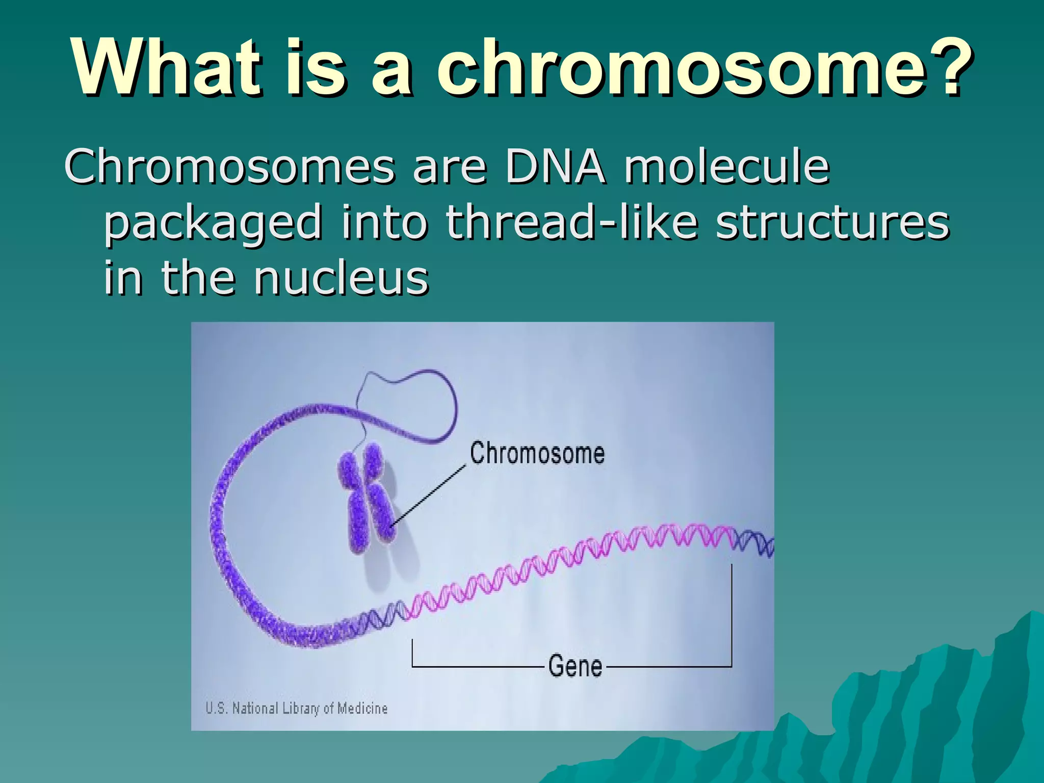 Introduction to DNA and Genetics | PPT