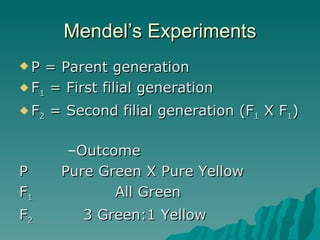 Introduction to DNA and Genetics | PPT