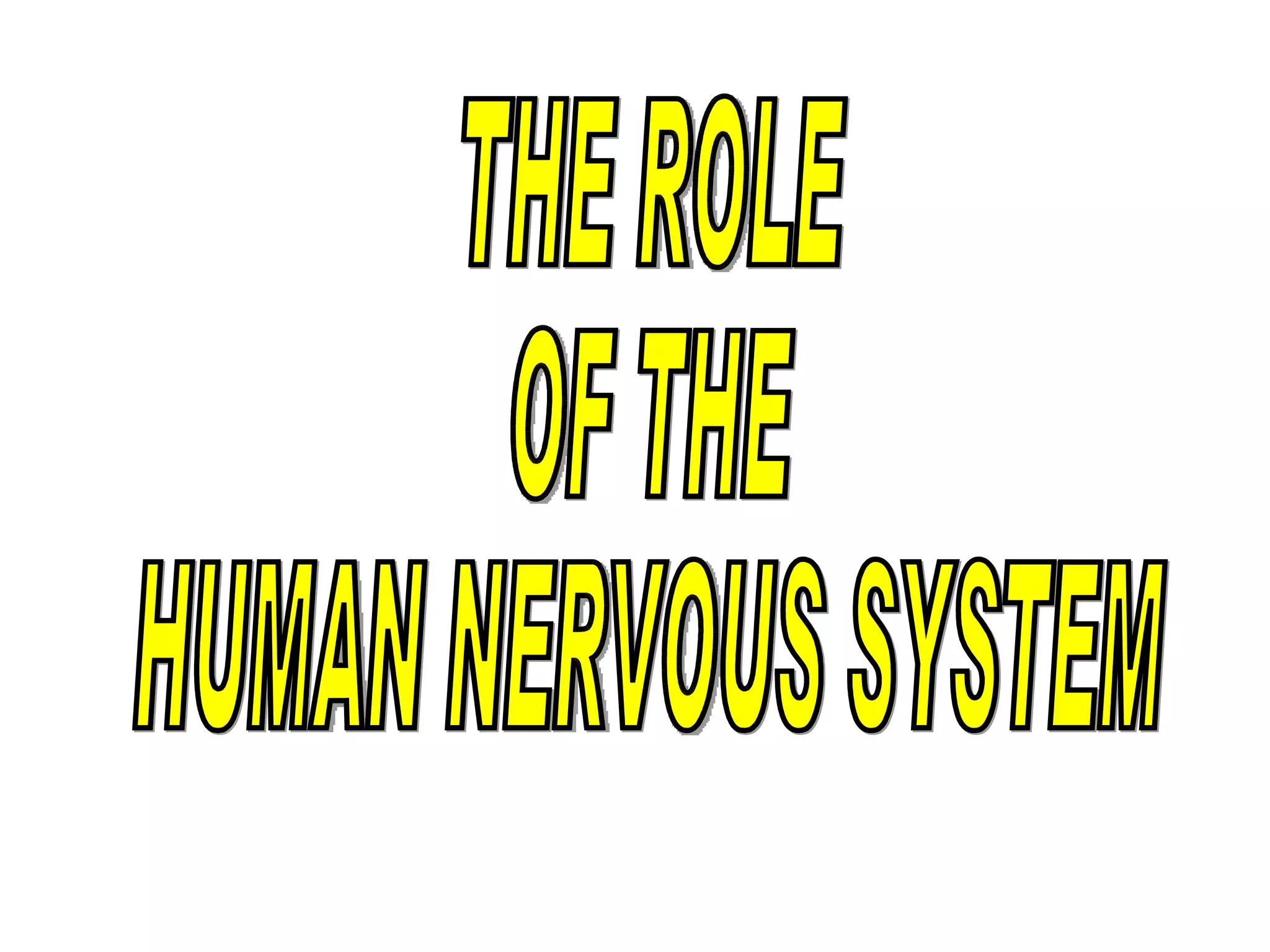 F:\Biology Form 5\Chp 3 Coordination And Response\3 2 The Role Of The ...
