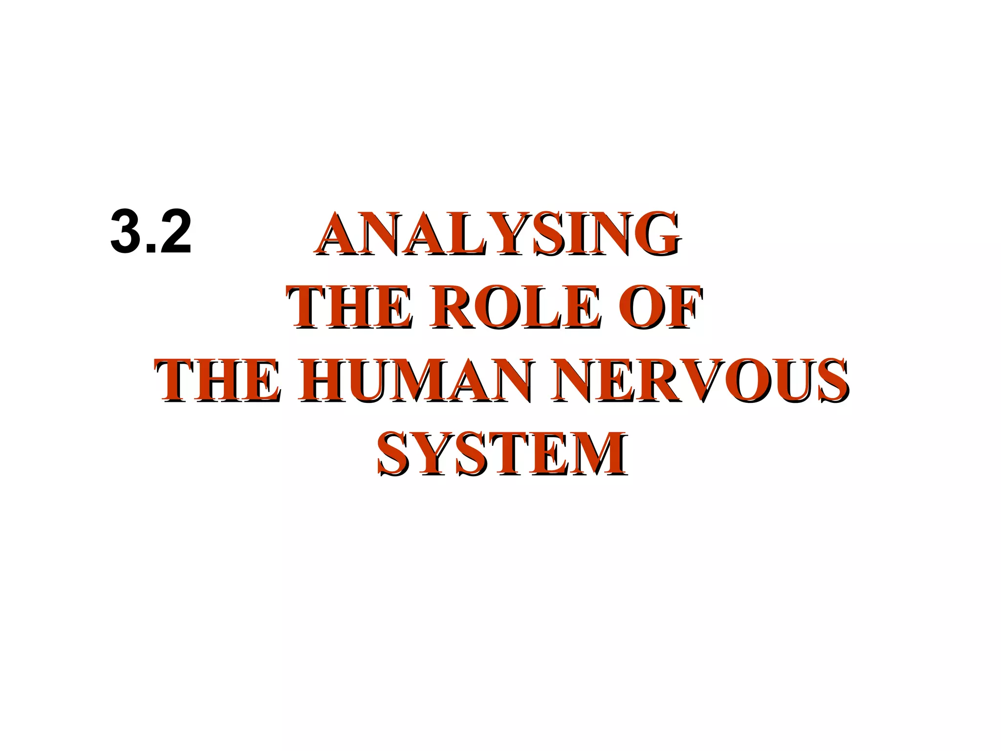 F:\Biology Form 5\Chp 3 Coordination And Response\3 2 The Role Of The ...