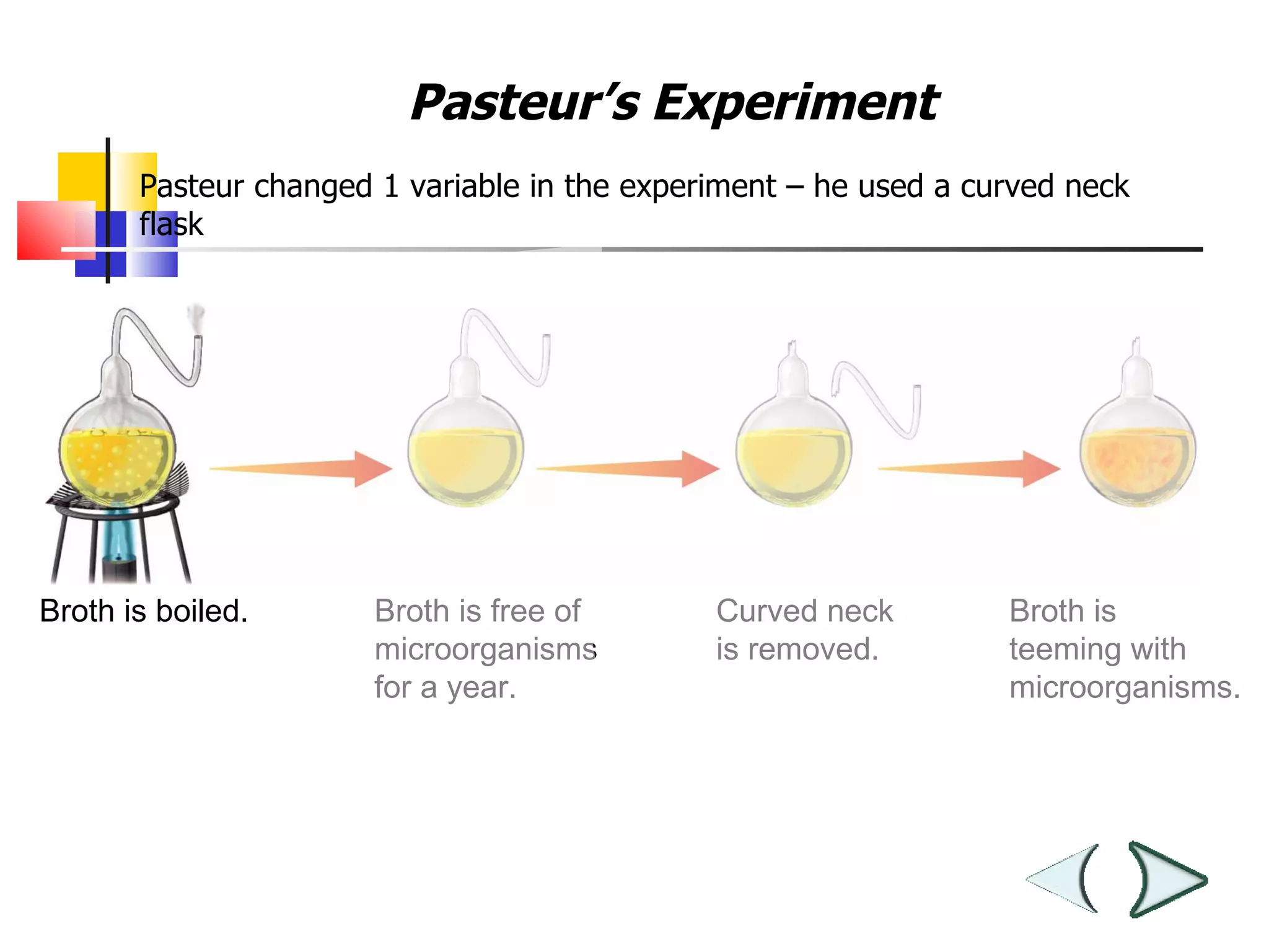 Biology Scientific Method | PPT