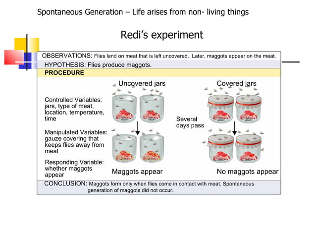 Biology Scientific Method | PPT | Biological Sciences | Science