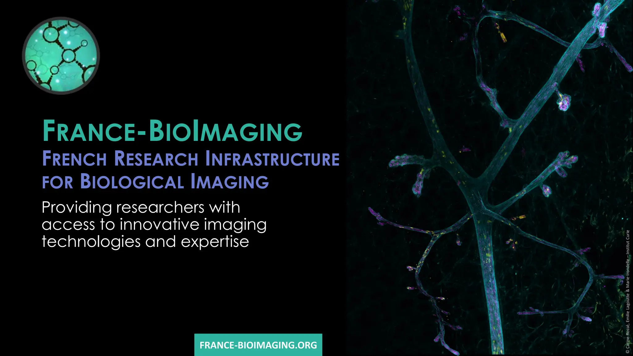 FBI_user-access-focused-presentation-1.pdf