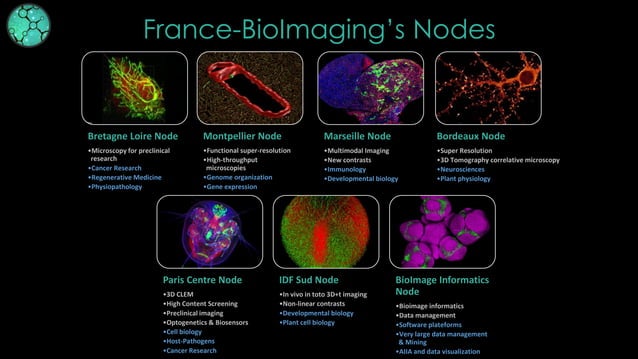 FBI_user-access-focused-presentation-1.pdf