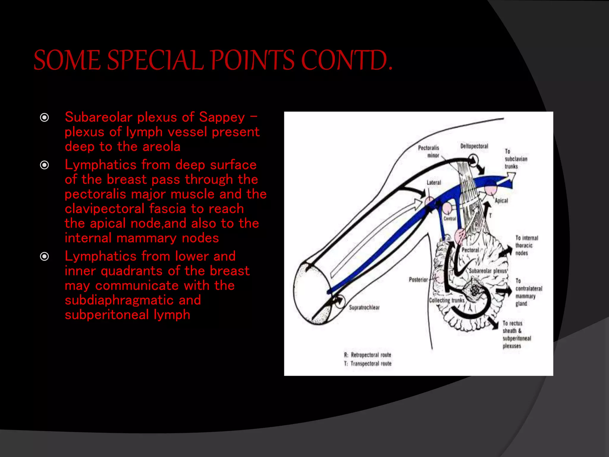 Lymphatic Drainage Of Breast | PPTX