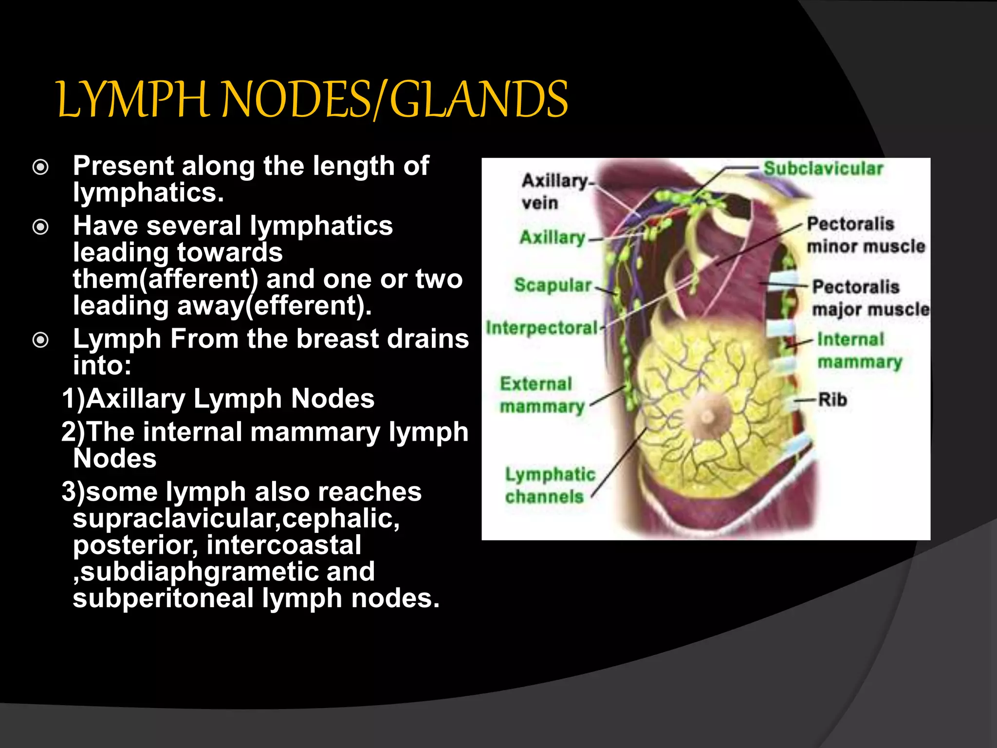 Lymphatic Drainage Of Breast | PPTX