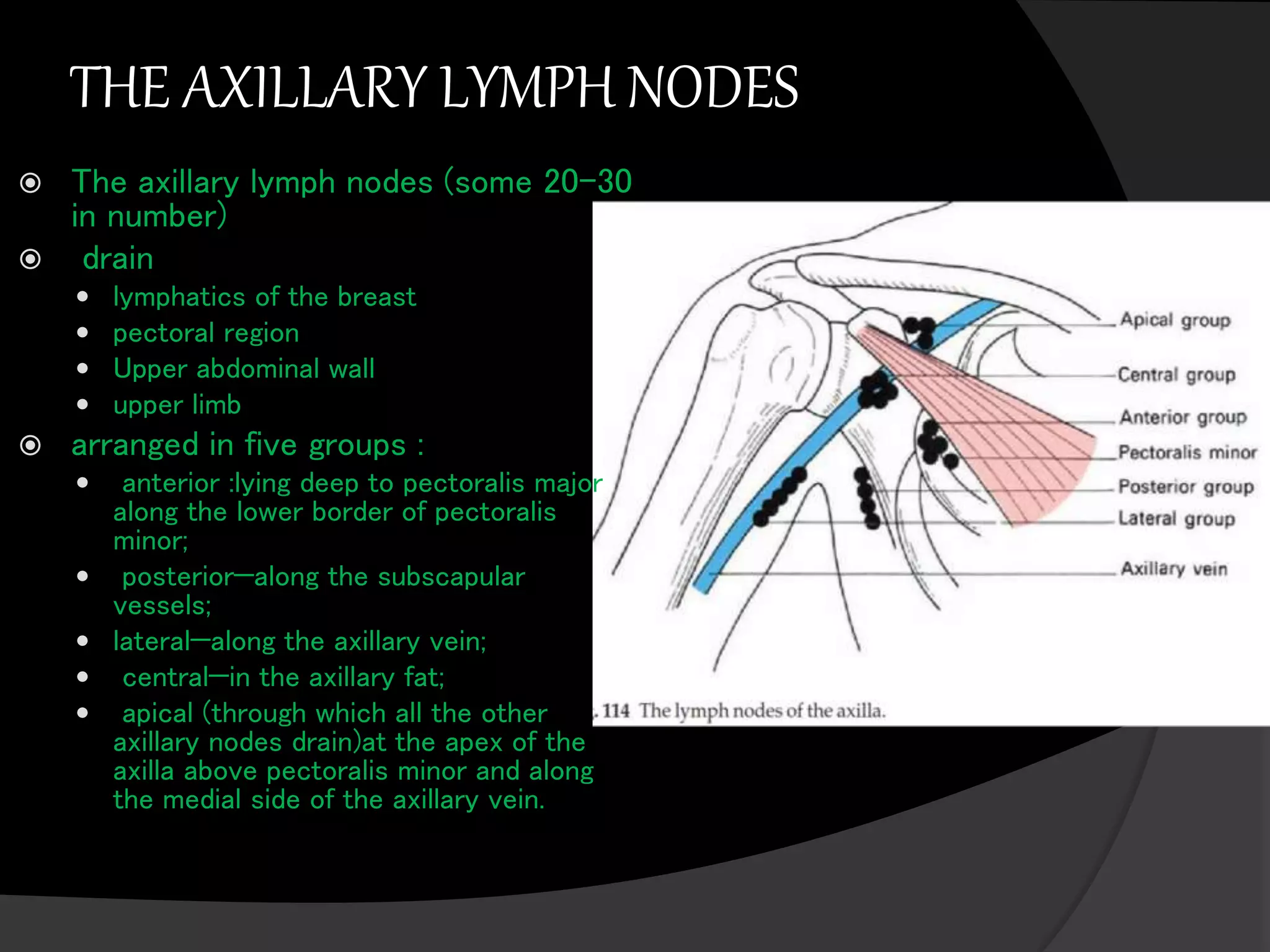 Lymphatic Drainage Of Breast | PPTX