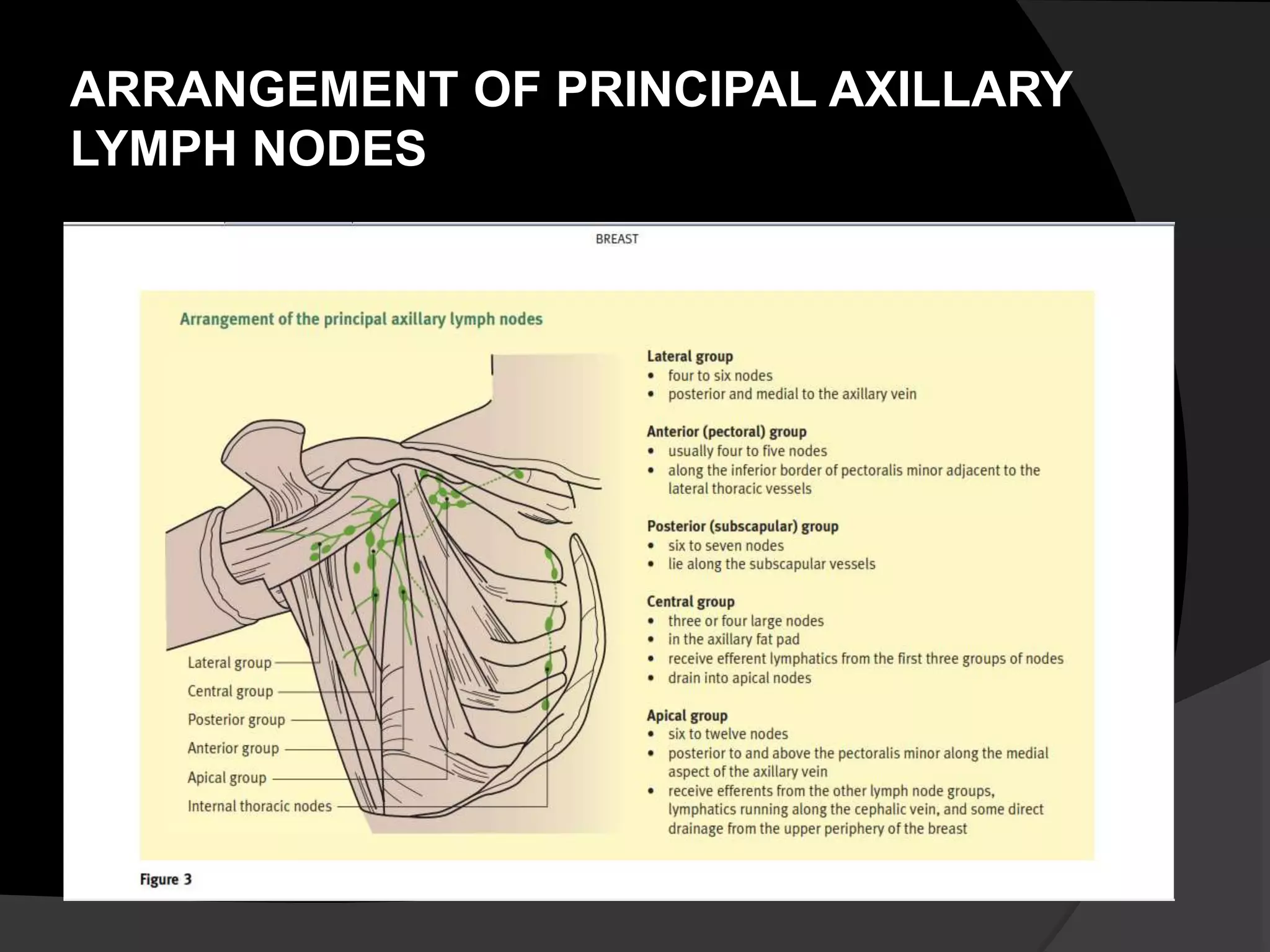 Lymphatic Drainage Of Breast | PPTX