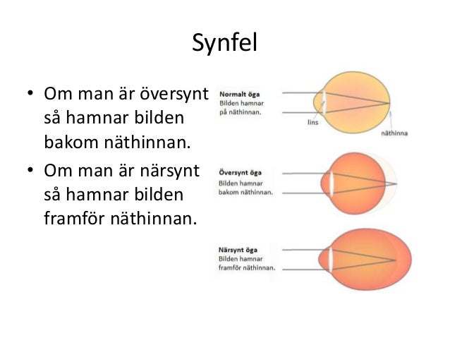 Fbk Fysik - Ljus brytning