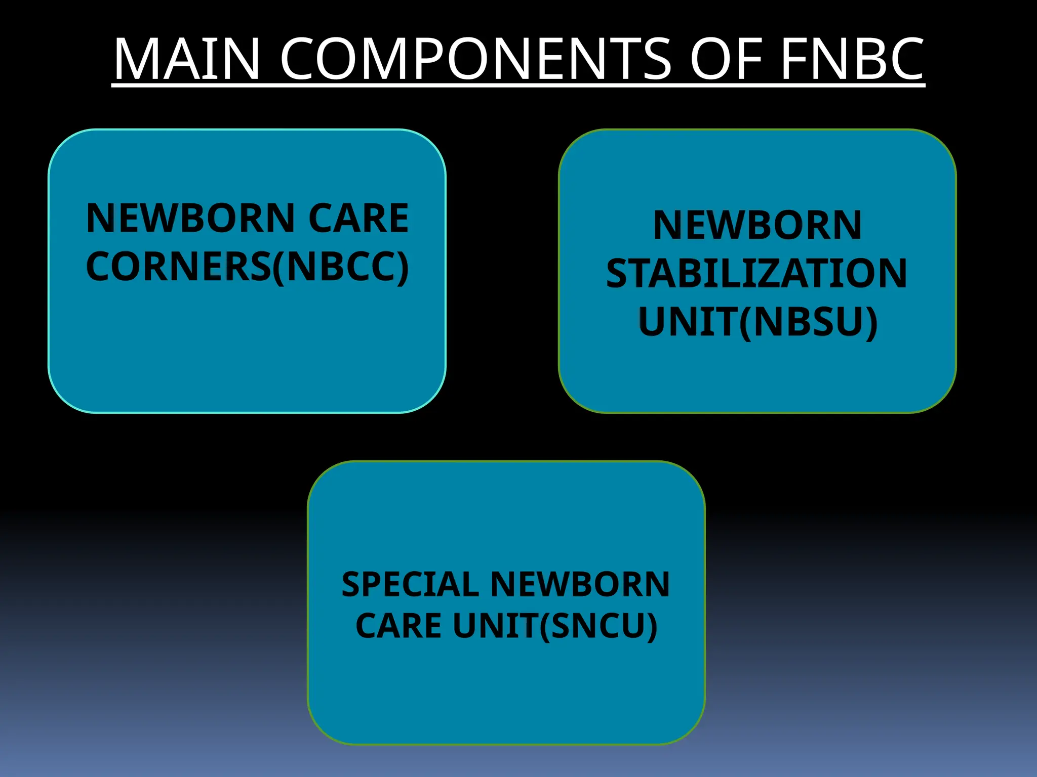 Facilitated newborn care for nursing course | PPTX