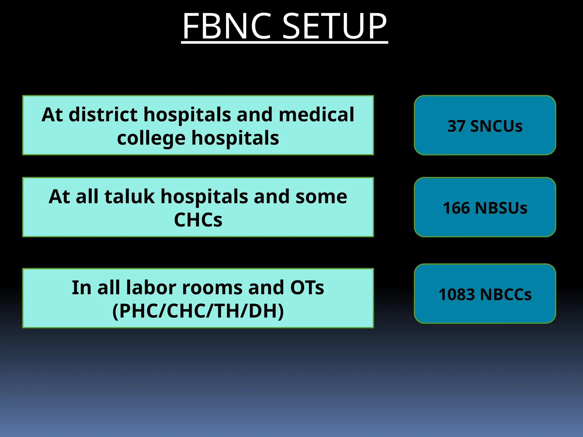 Facilitated newborn care for nursing course | PPTX